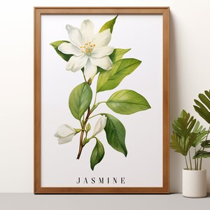 Jasmine Flower, Printable Watercolor Art, Digital Products, Floral Wall ...
