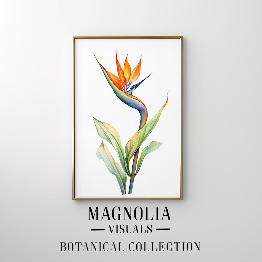 Birds of Paradise Flower, Printable Watercolor Art, Digital Products ...