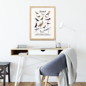 Shorebirds Educational Poster | Classroom Wall Décor | Watercolor Print ...