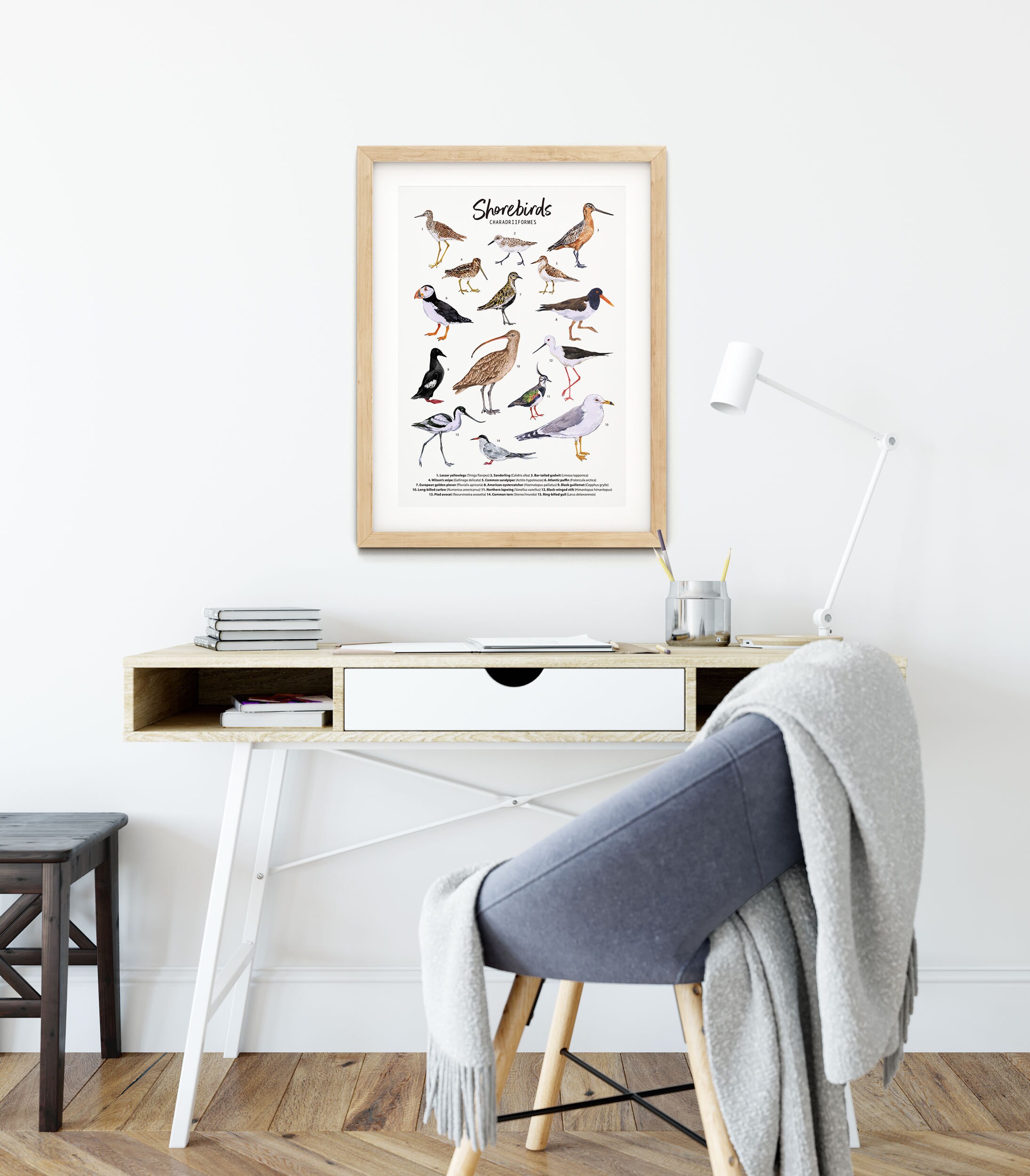 Shorebirds Educational Poster | Classroom Wall Décor | Watercolor Print ...