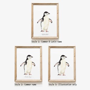 Chinstrap Penguin Watercolor Fine Art Print | Gallery, Nursery, Living ...