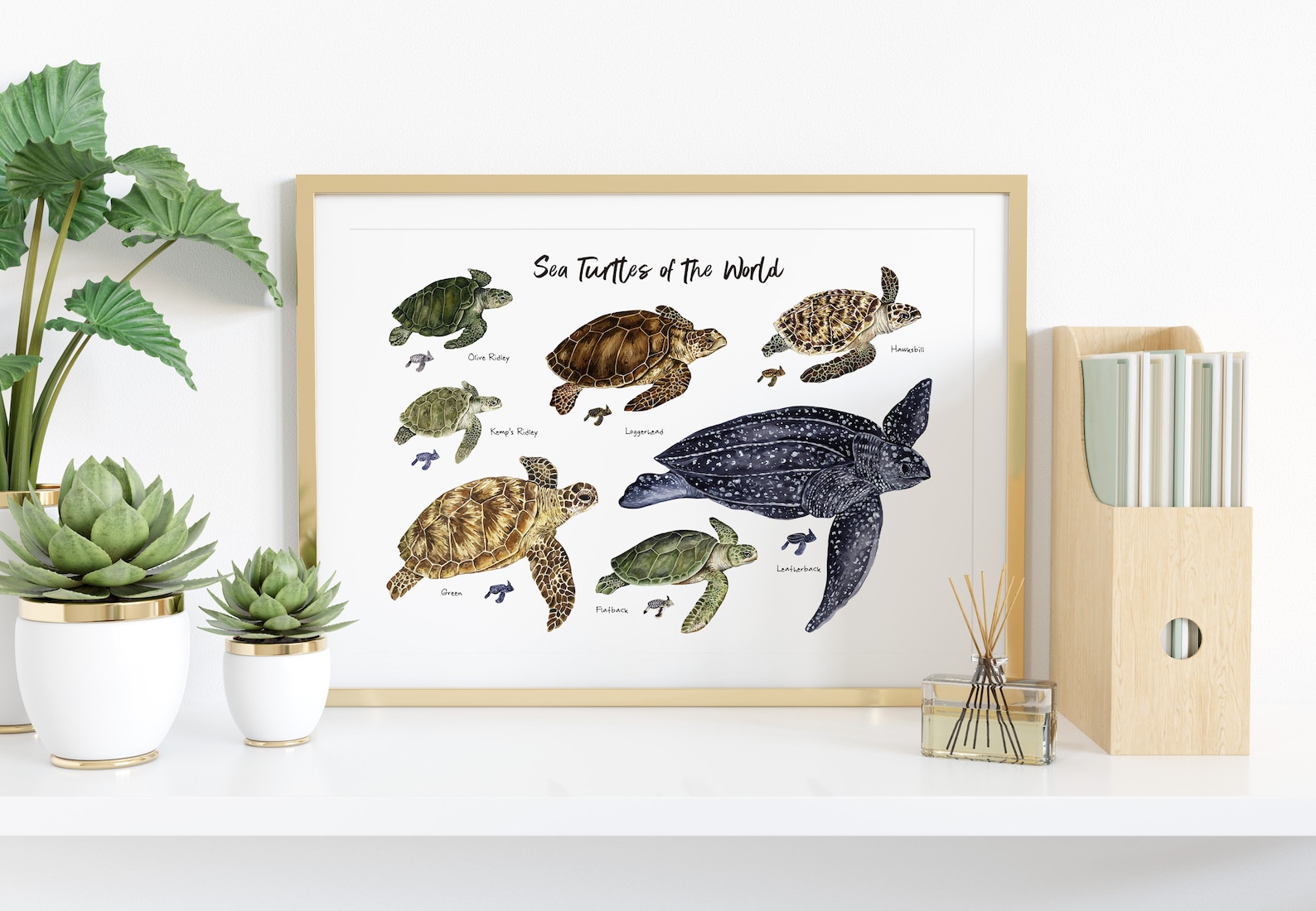 Sea Turtles of the World Wall Art Nautical Home Décor | Etsy