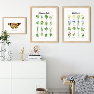 Culinary Herbs Watercolor Decor | Montessori Kinder Nature Study ...
