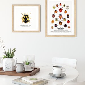 Checker Spot Ladybug, Ladybird, Lady Beetle Print | Living Room, Dining ...