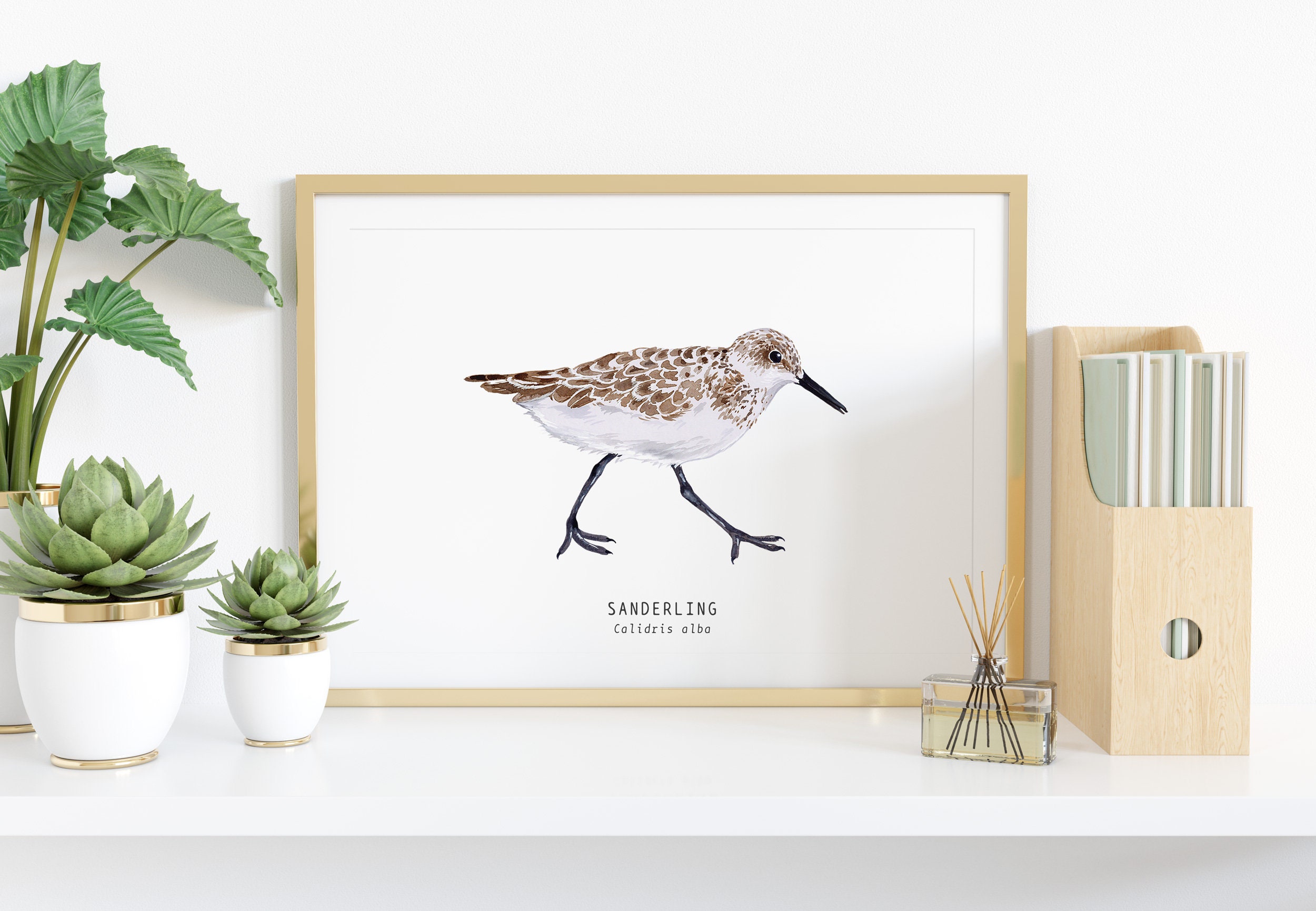 Sanderling Watercolour Bird Print | Nautical Home Decor | Housewarming ...