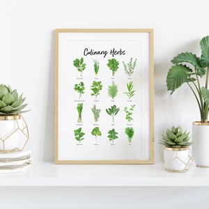 Culinary Herbs Watercolor Decor | Montessori Kinder Nature Study ...
