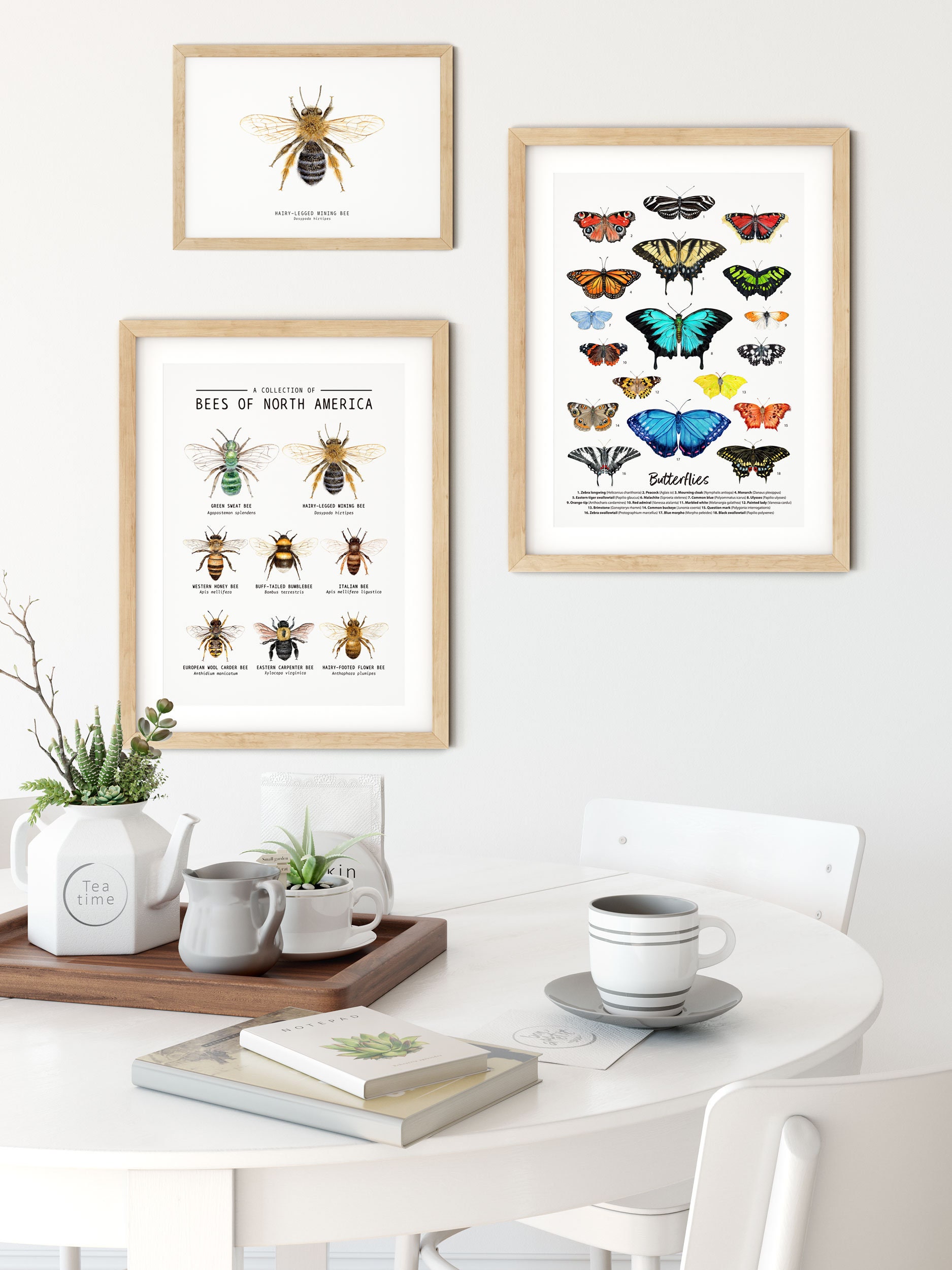 Bees of North America Educational Wall Art | Classroom Poster ...