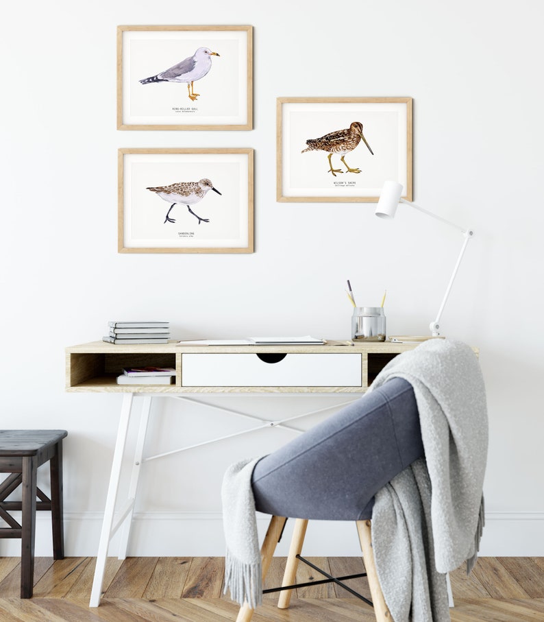 Set of 3 Shorebird Prints Three Print Set Nautical Wall | Etsy
