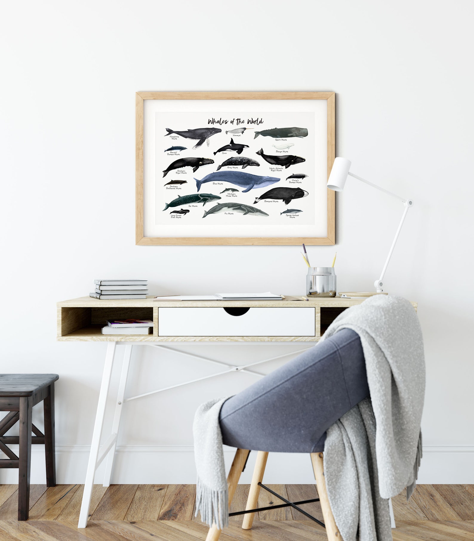 Whales of the World Wall Art Nautical Home Decor Ocean Mammals Wall ...