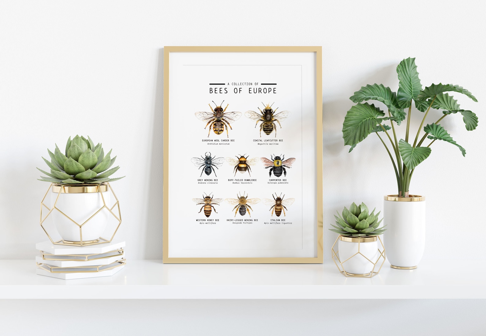 Bees of Europe Art Print | Homeschool Activities | Nature Play ...