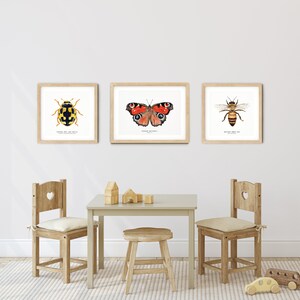 Checker Spot Ladybug, Ladybird, Lady Beetle Print | Living Room, Dining ...