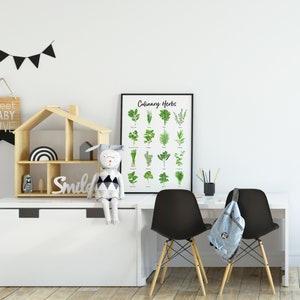 Culinary Herbs Watercolor Decor | Montessori Kinder Nature Study ...