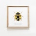 Checker Spot Ladybug, Ladybird, Lady Beetle Print | Living Room, Dining ...