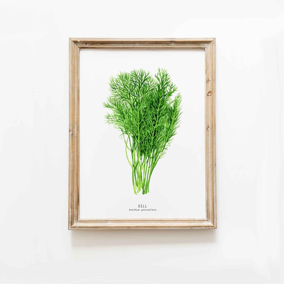 Dill Wall Decor | Kitchen Decor Herb Print | Housewarming Gift for ...