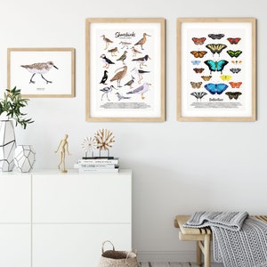 Shorebirds Educational Poster | Classroom Wall Décor | Watercolor Print ...