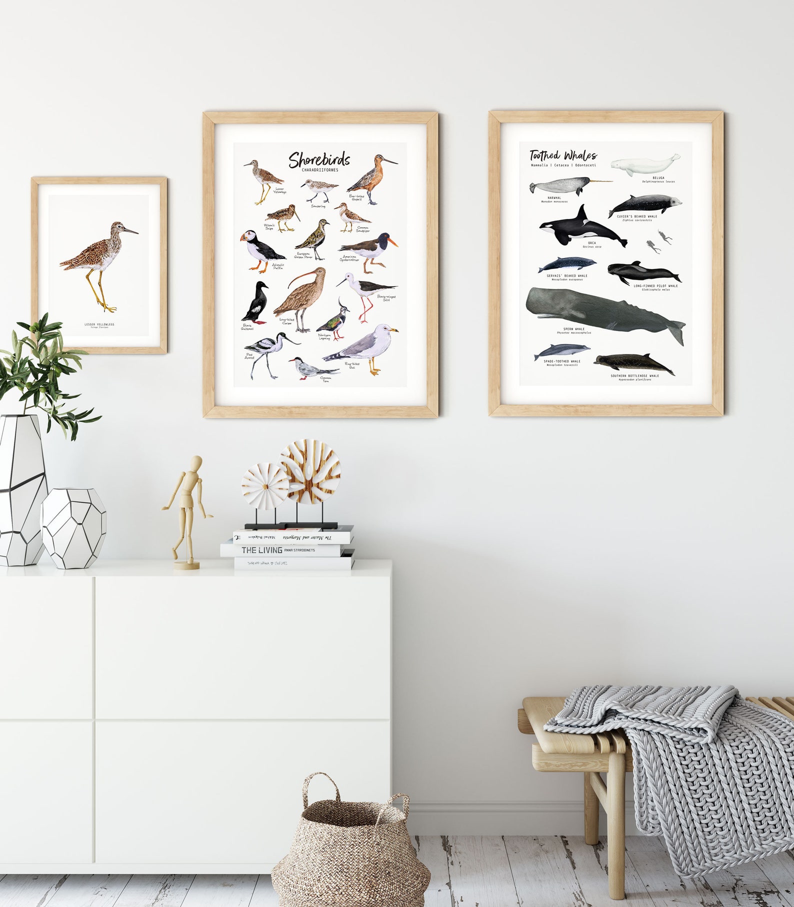 Set of 3 Shorebird Prints Three Print Set Nautical Wall - Etsy