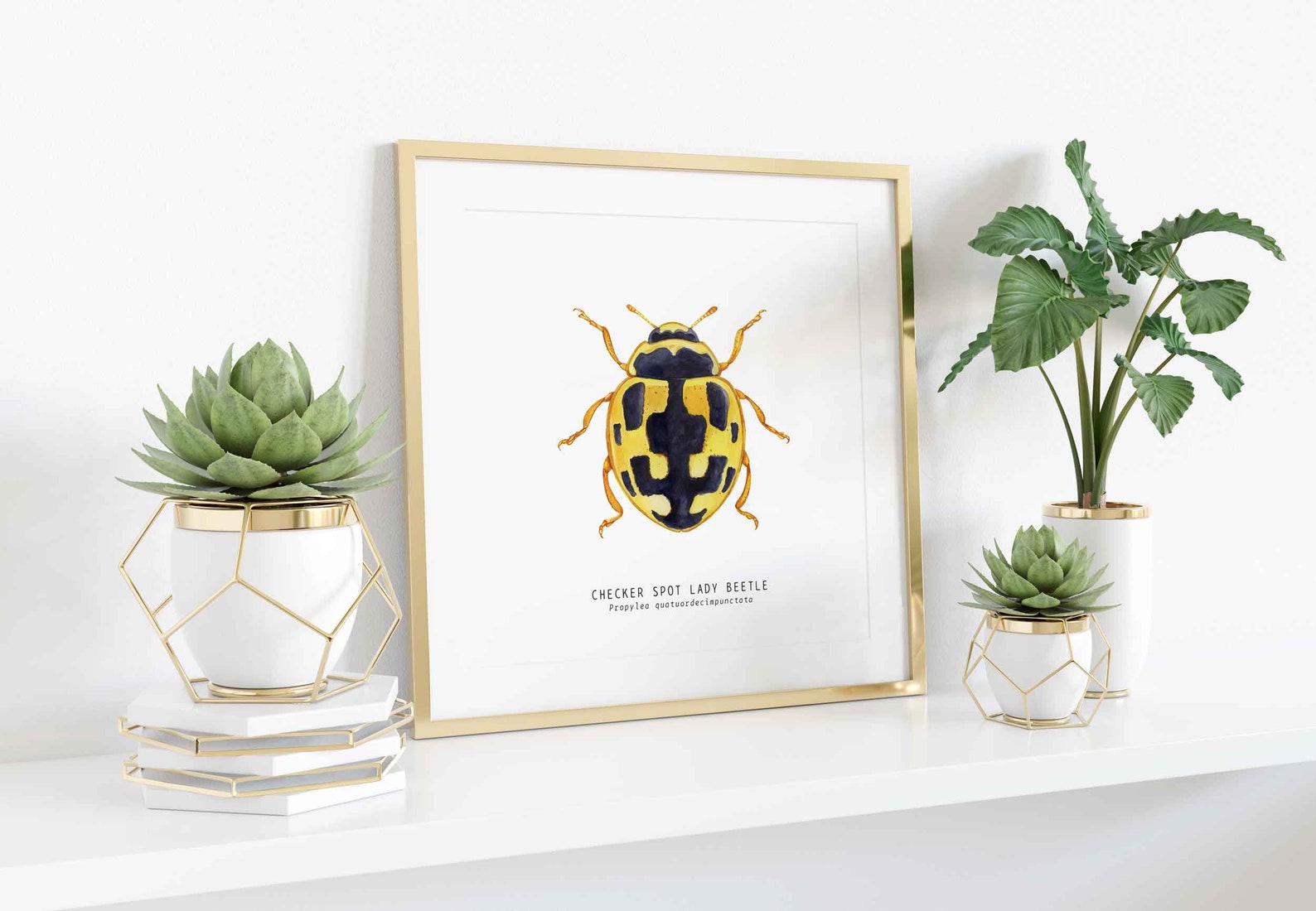 Checker Spot Ladybug, Ladybird, Lady Beetle Print | Living Room, Dining ...