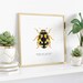 Checker Spot Ladybug, Ladybird, Lady Beetle Print | Living Room, Dining ...