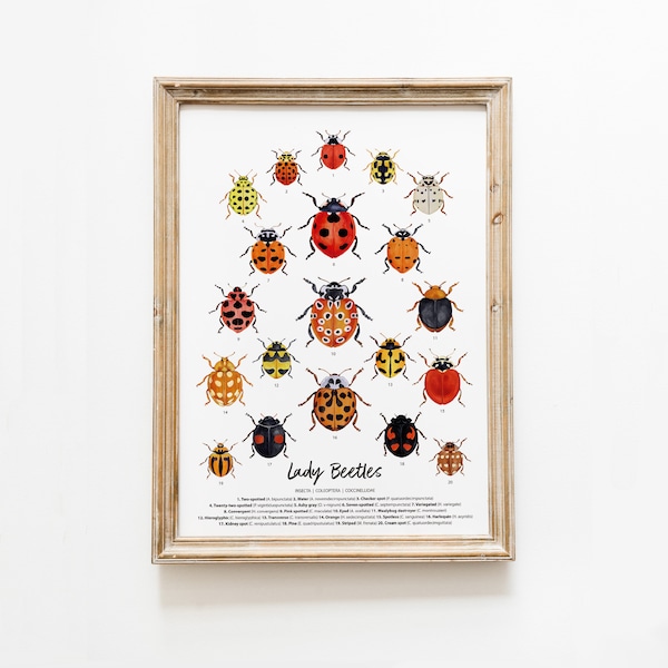 Ladybug Print - Etsy