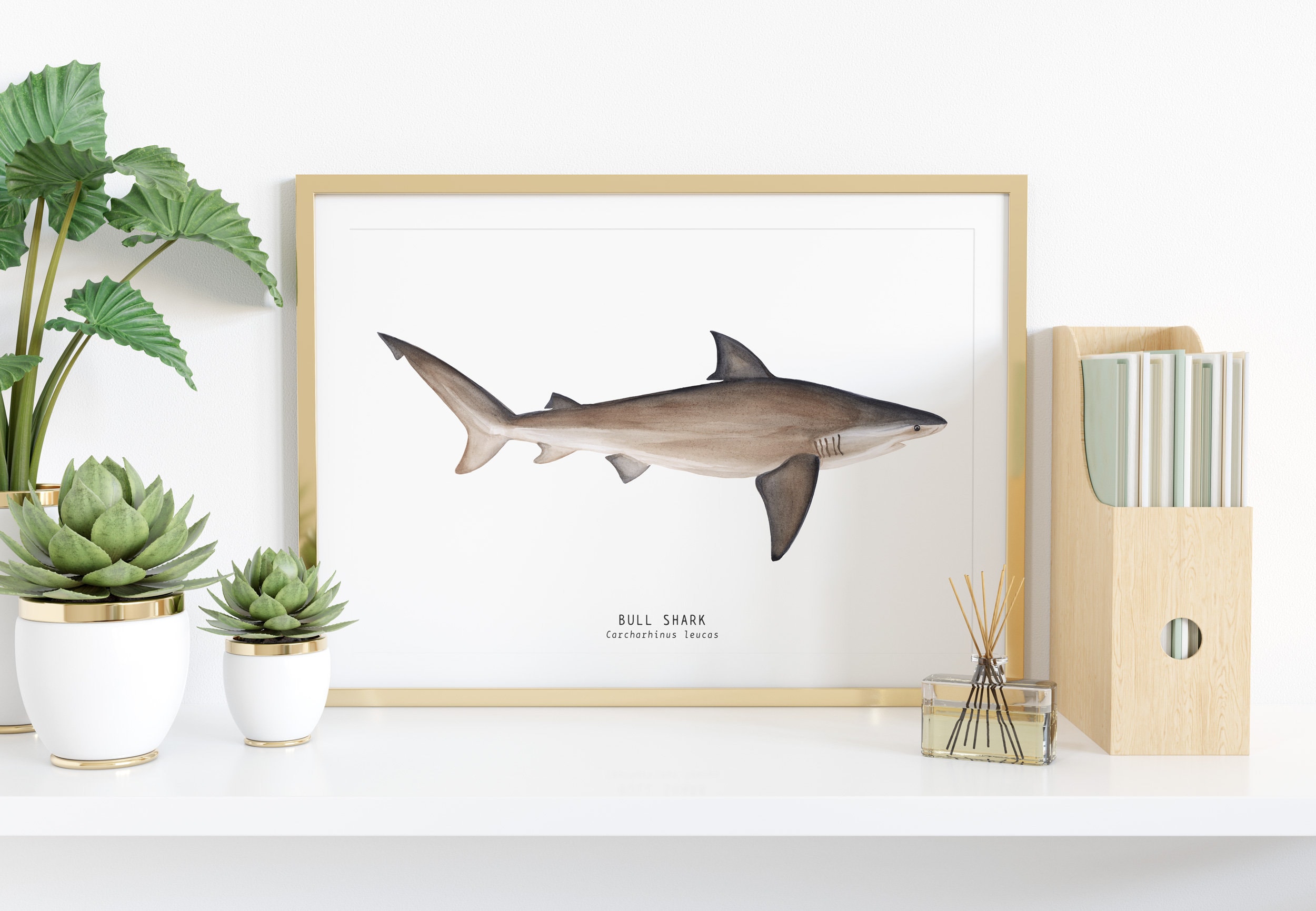 Bull Shark hand painted watercolor art print oceanic animals | Etsy