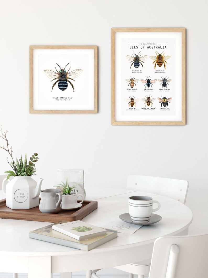 Blue Banded Bee Art Print | Bee Birthday Gift | Bees Wall Art ...
