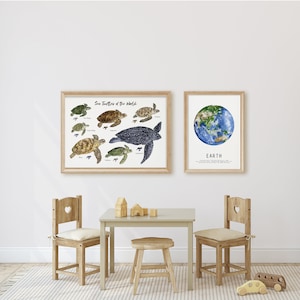 Sea Turtles of the World Wall Art | Nautical Home Décor | Ocean Animals ...