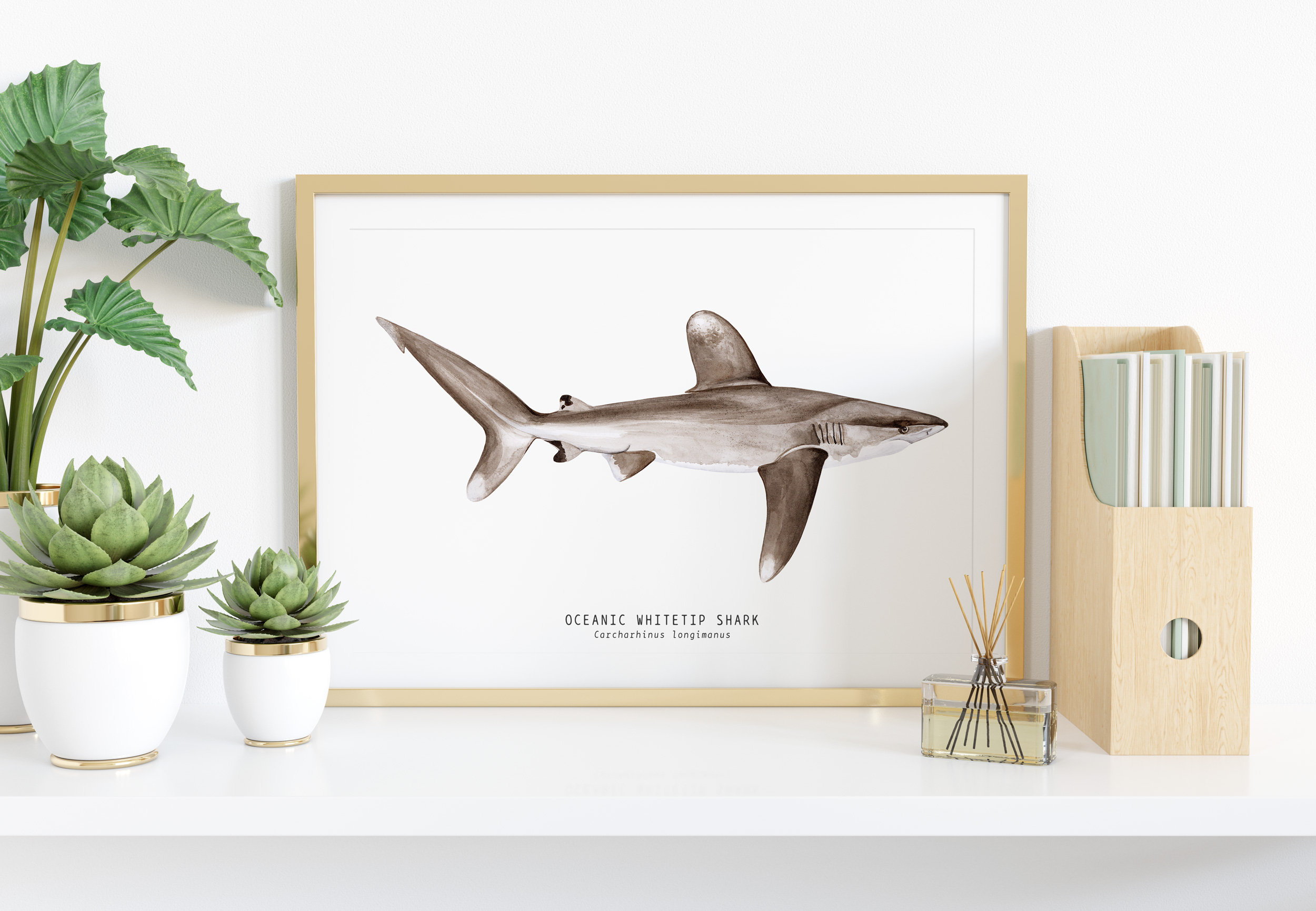 Oceanic Whitetip Shark art print Living room poster | Etsy
