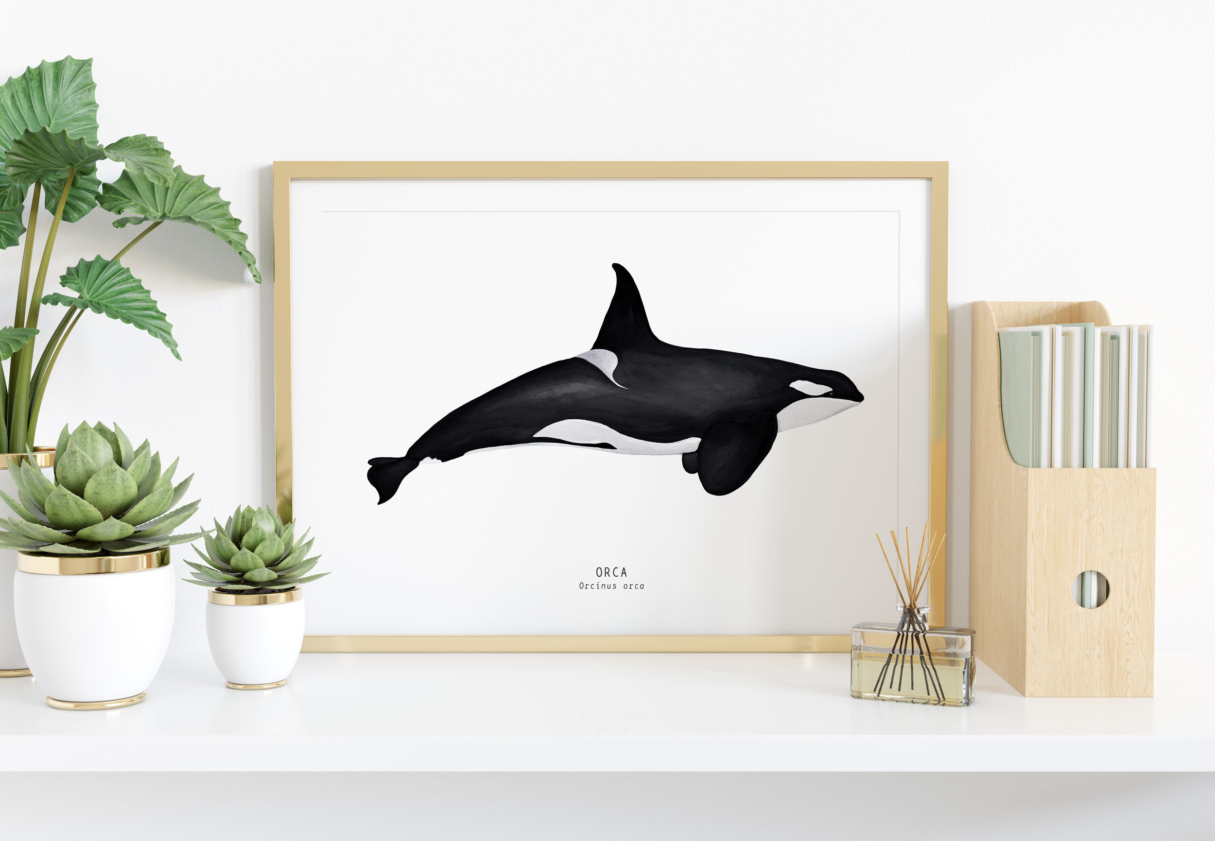Orca Watercolour Print Whale Wall Decor Orca Wall Art | Etsy Australia