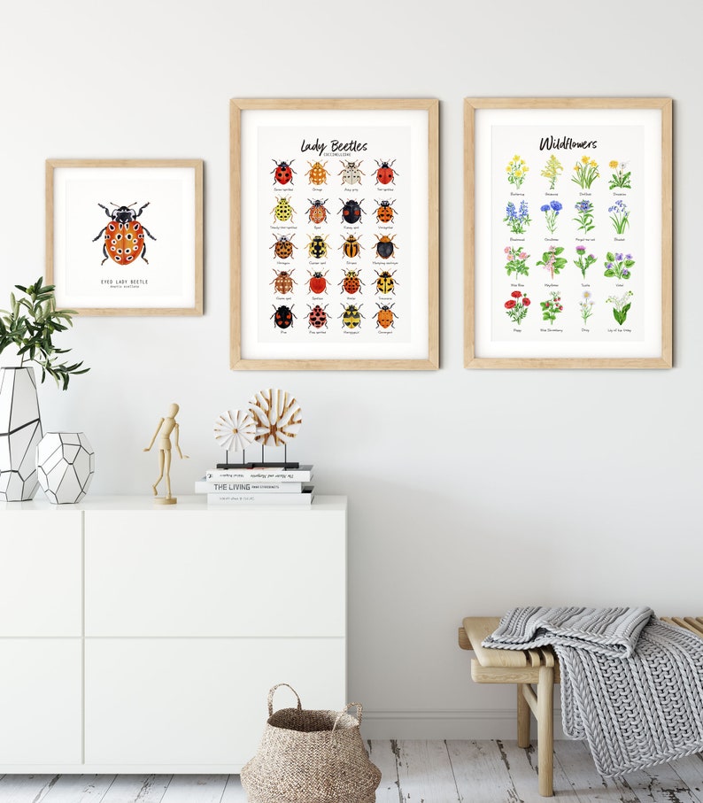 Eyed Ladybug, Ladybird, Lady Beetle Print | Living Room, Dining ...