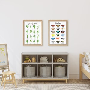 Culinary Herbs Watercolor Decor | Montessori Kinder Nature Study ...