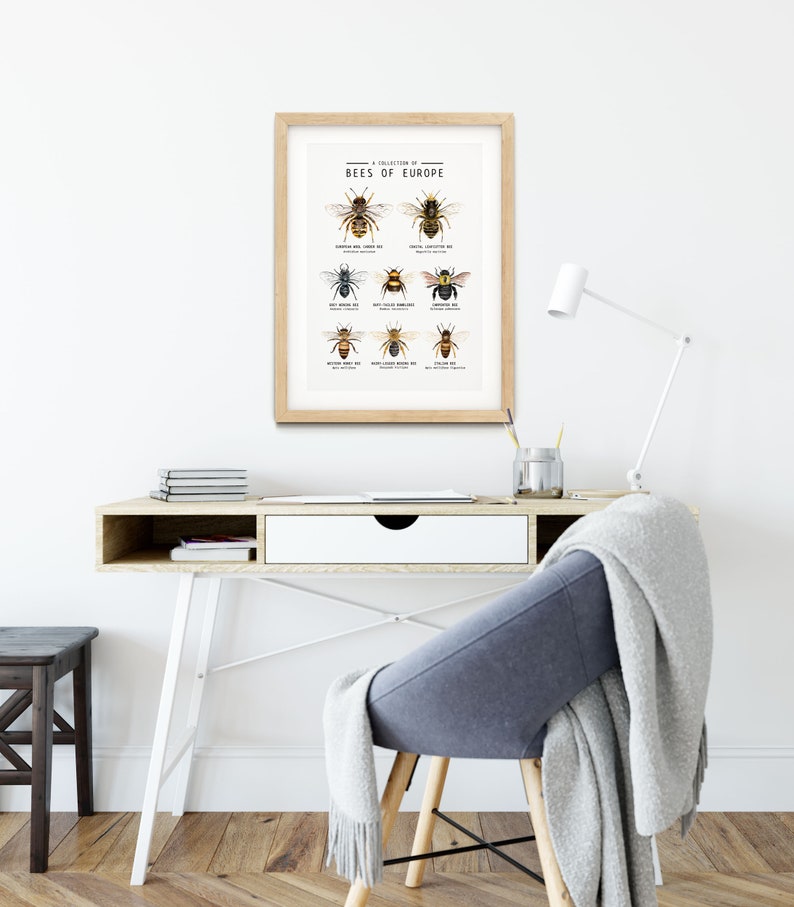 Bees of Europe Art Print | Homeschool Activities | Nature Play ...