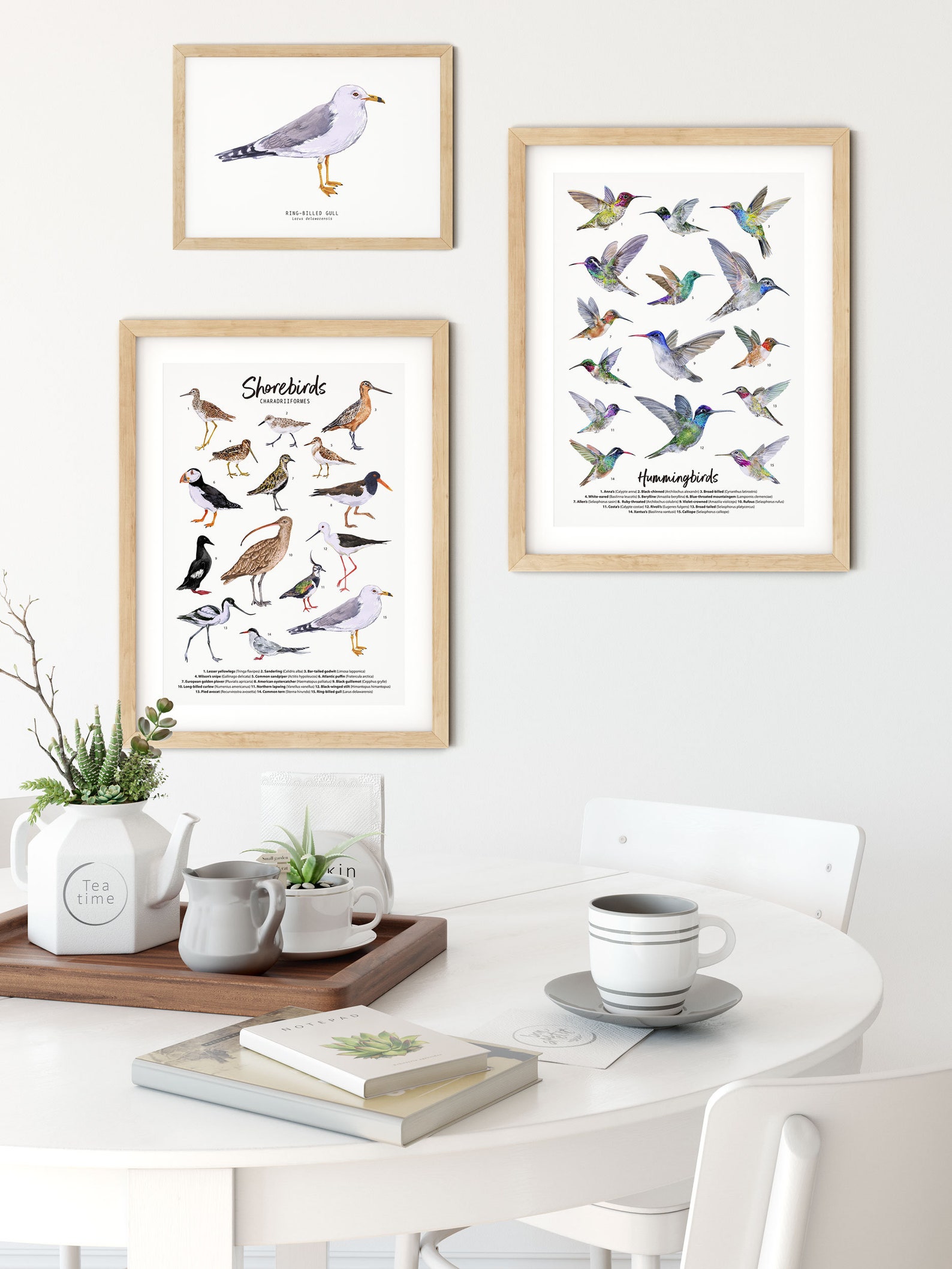 Shorebirds Educational Poster | Classroom Wall Décor | Watercolor Print ...
