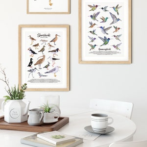 Shorebirds Educational Poster | Classroom Wall Décor | Watercolor Print ...