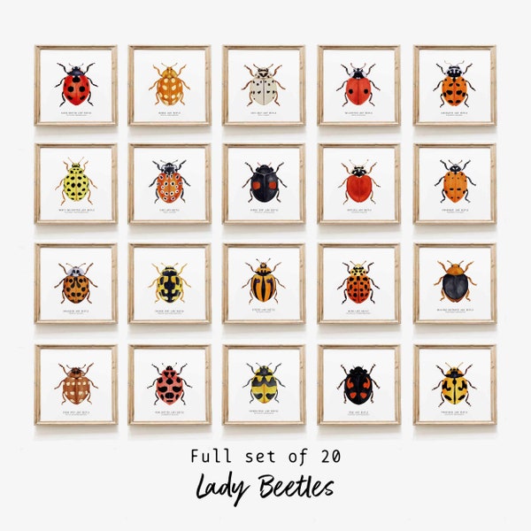 Ladybug Wall Art - Etsy