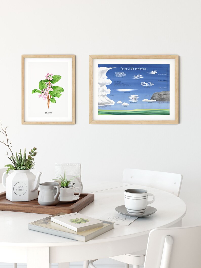 Mayflower Hand Painted Watercolour Art | Botanical Wall Décor ...