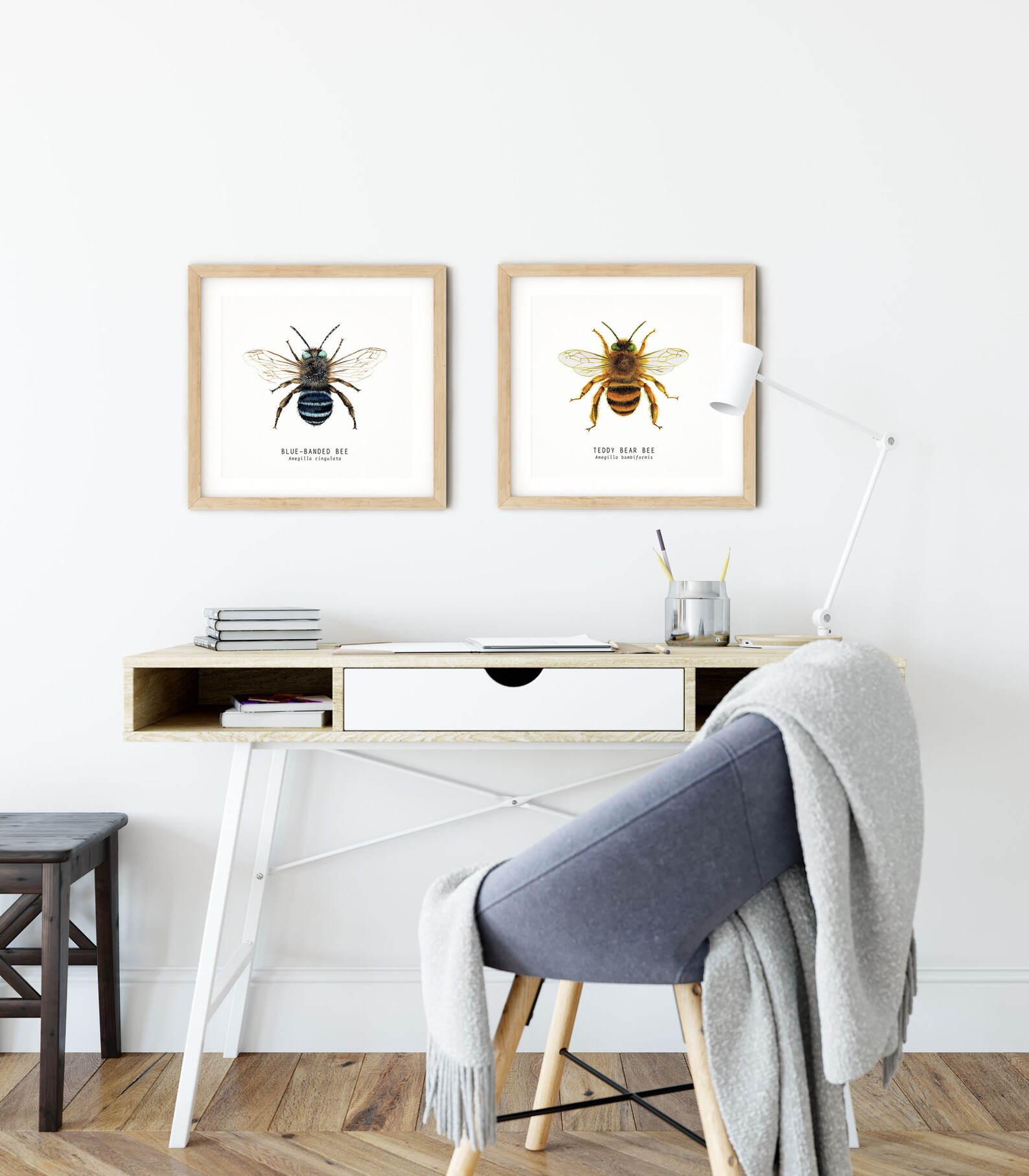 Blue Banded Bee Art Print | Bee Birthday Gift | Bees Wall Art ...