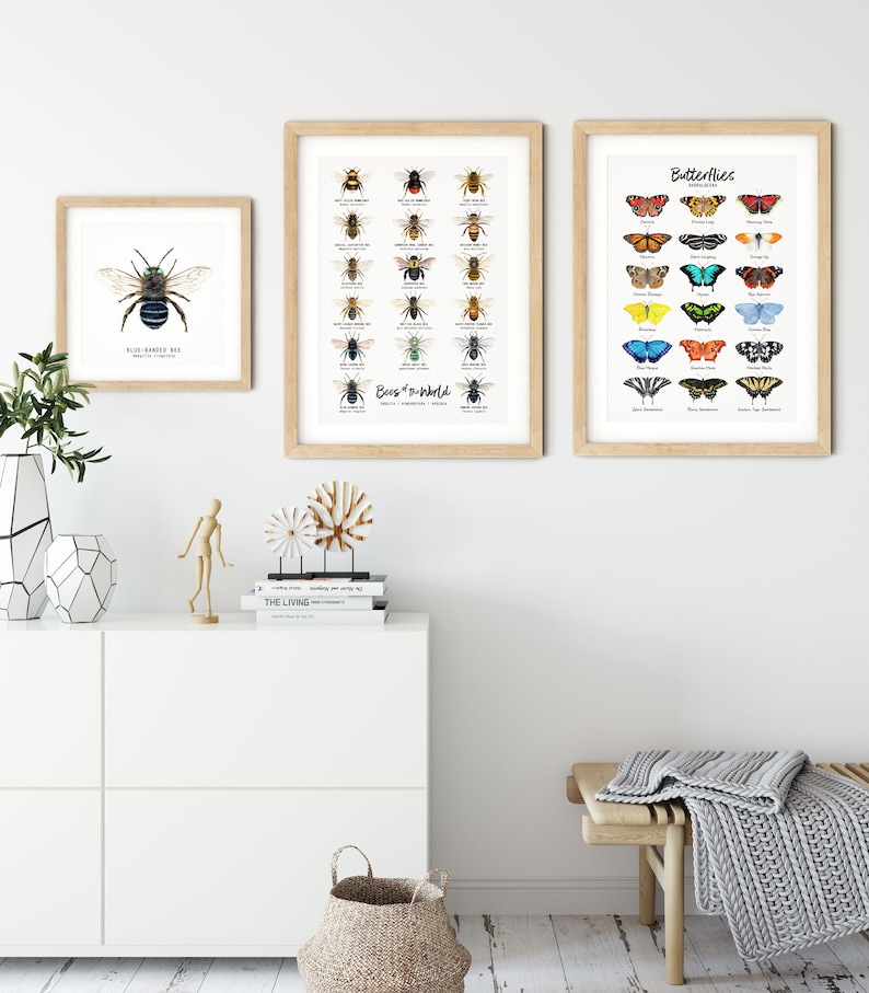 Blue Banded Bee Art Print | Bee Birthday Gift | Bees Wall Art ...
