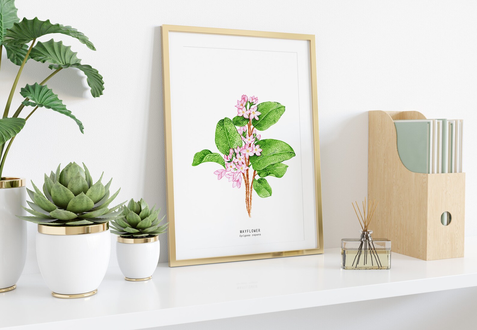 Mayflower Hand Painted Watercolour Art | Botanical Wall Décor ...
