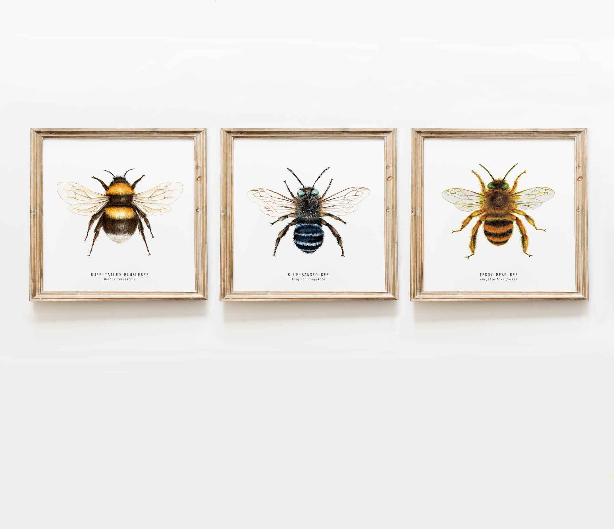 Bee Themed Prints Sets and Individual Prints Wall Hangings Home Décor ...