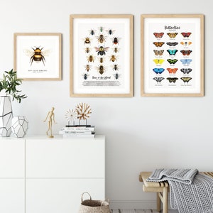Buff-tailed Bumblebee Wall Decor | Housewarming Gift | Bee Lover ...