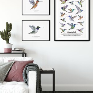 Allen's Hummingbird Watercolor Fine Art Print | Bird Lover Poster ...
