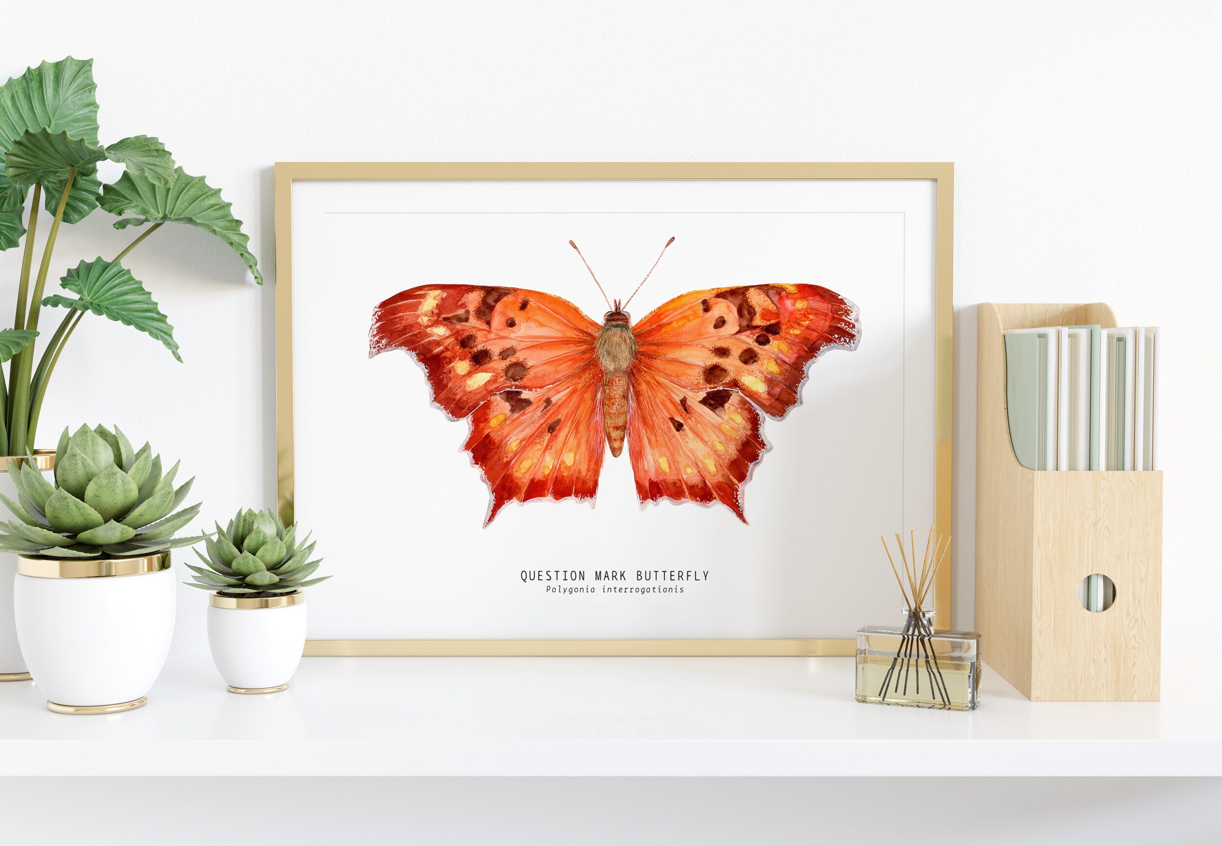 Question Mark Butterfly Print Polygonia Interrogationis | Etsy