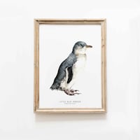 Emperor Penguin - Art Print - Etsy