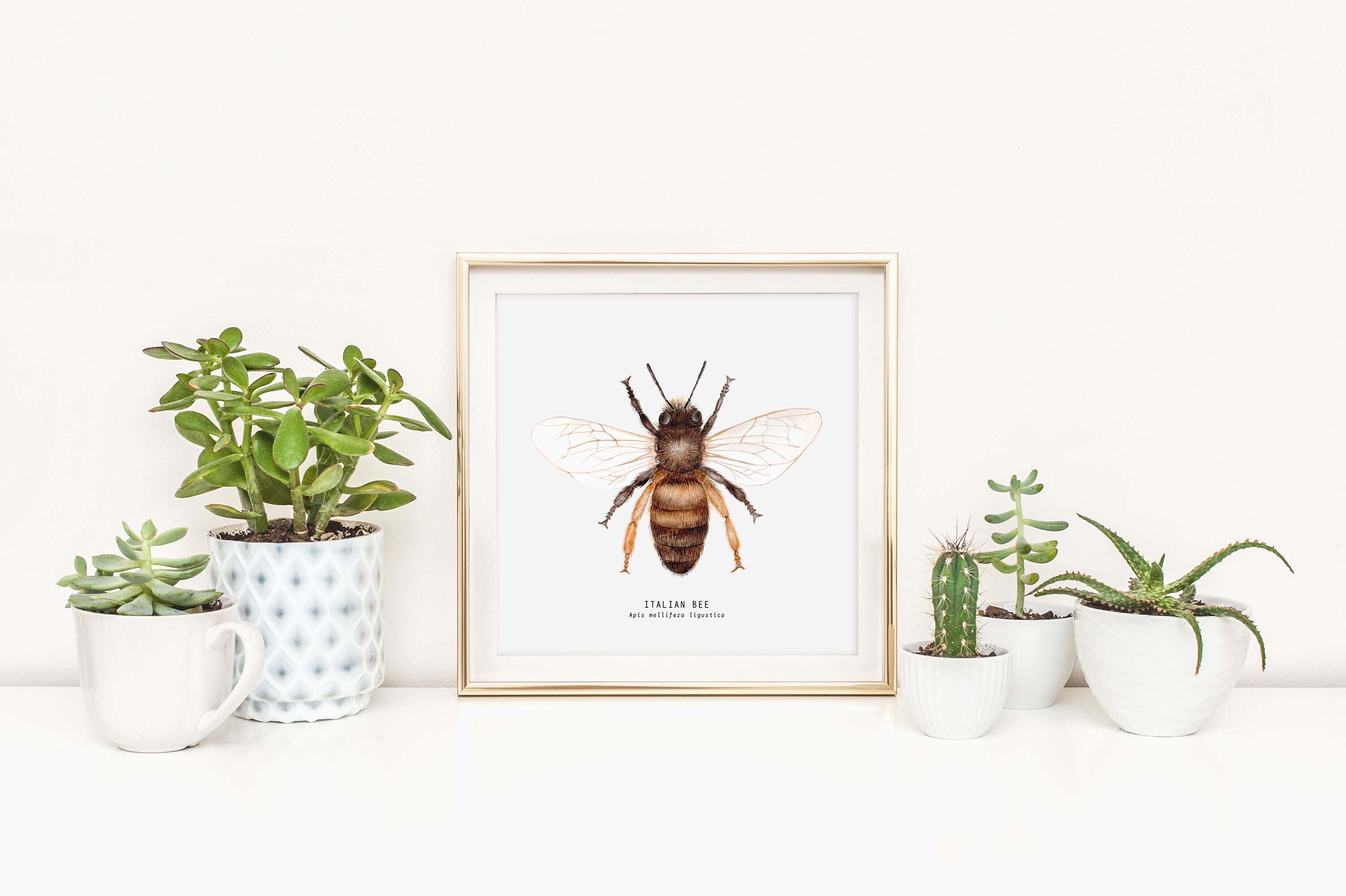 Italian honey bee wall decor Watercolour art Bees wall art | Etsy