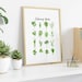 Culinary Herbs Watercolor Decor | Montessori Kinder Nature Study ...