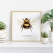 Buff-tailed Bumblebee Wall Decor | Housewarming Gift | Bee Lover ...