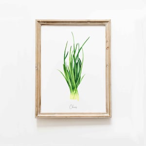 Chives Herb Print | Watercolor Herb Wall Decor | Homeschool Educational ...
