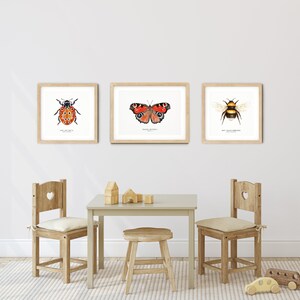 Eyed Ladybug, Ladybird, Lady Beetle Print | Living Room, Dining ...