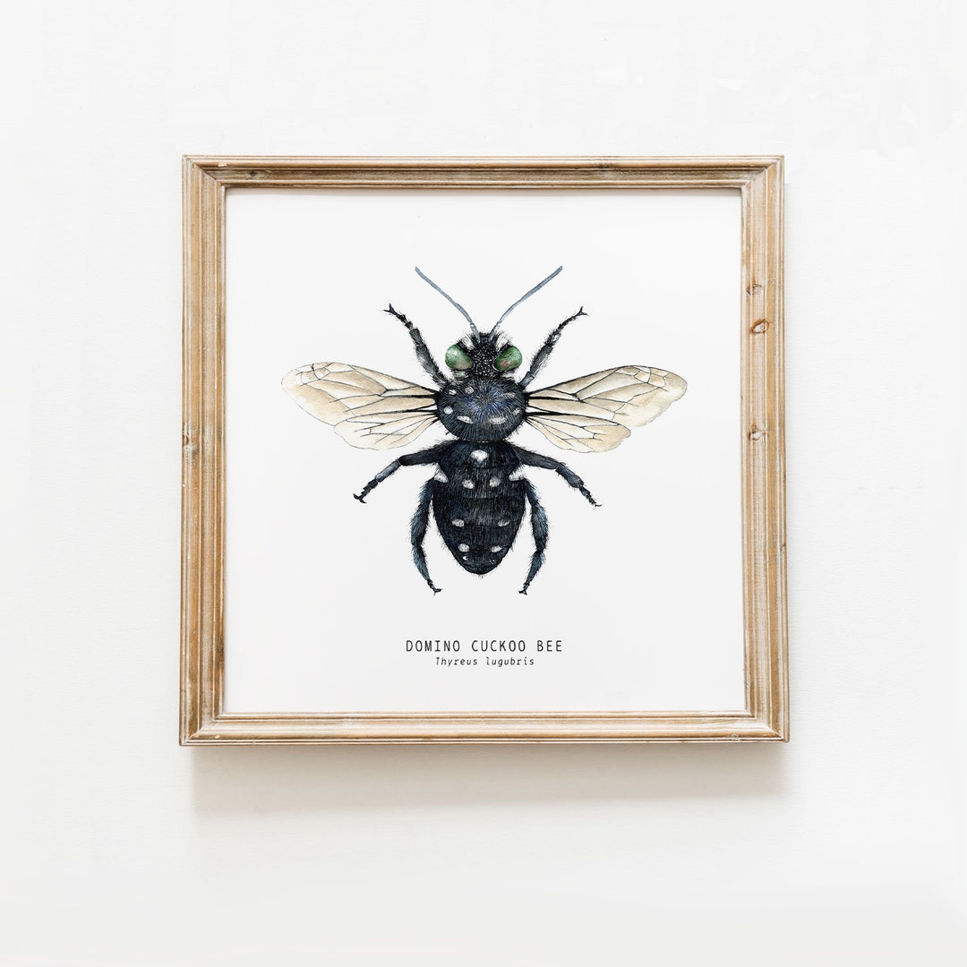 Domino Cuckoo Bee Wall Décor | Gift for Bee Lover's | Baby Shower Gift ...