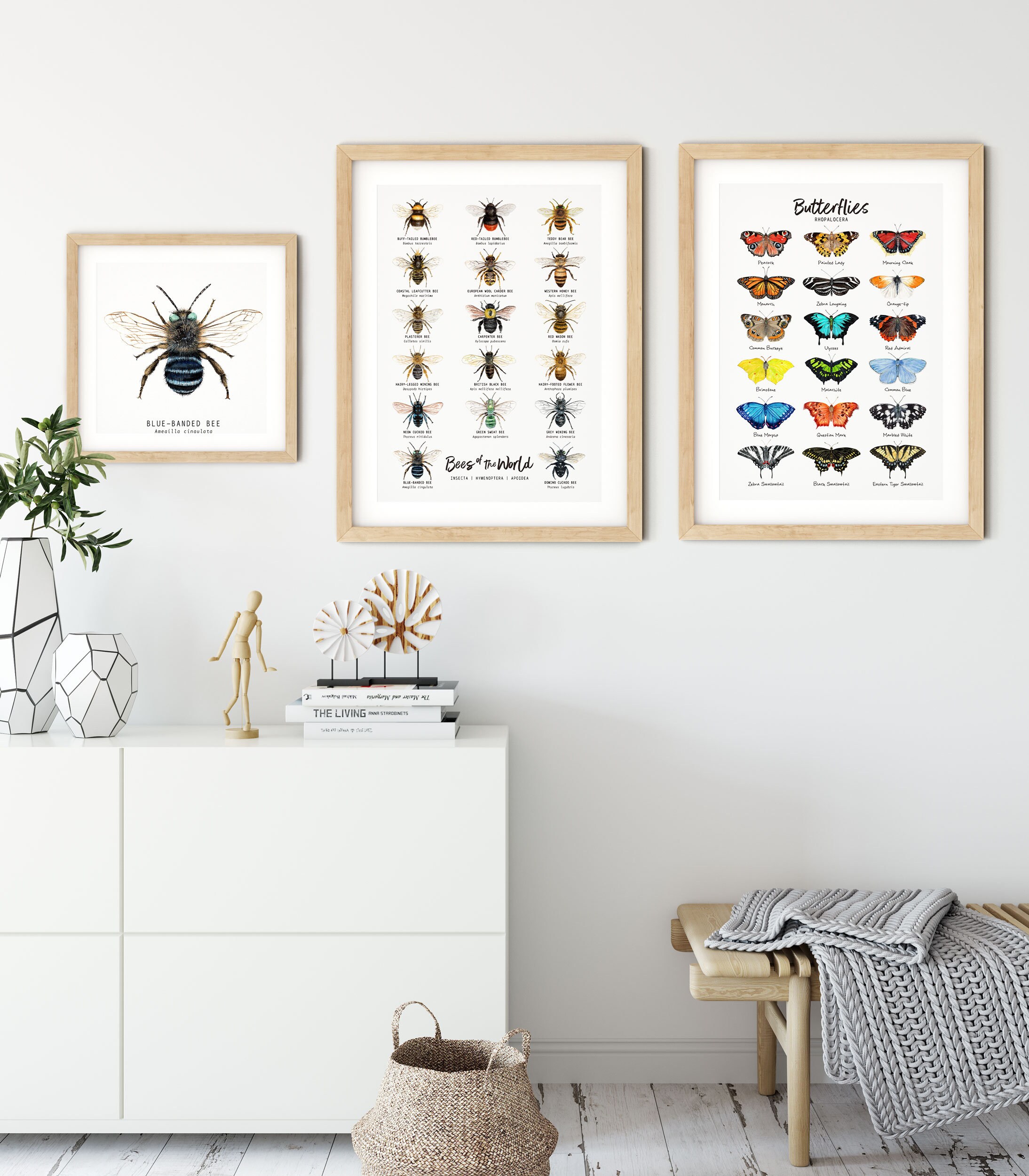 Blue banded bee art print Bee birthday gift Bees wall art | Etsy